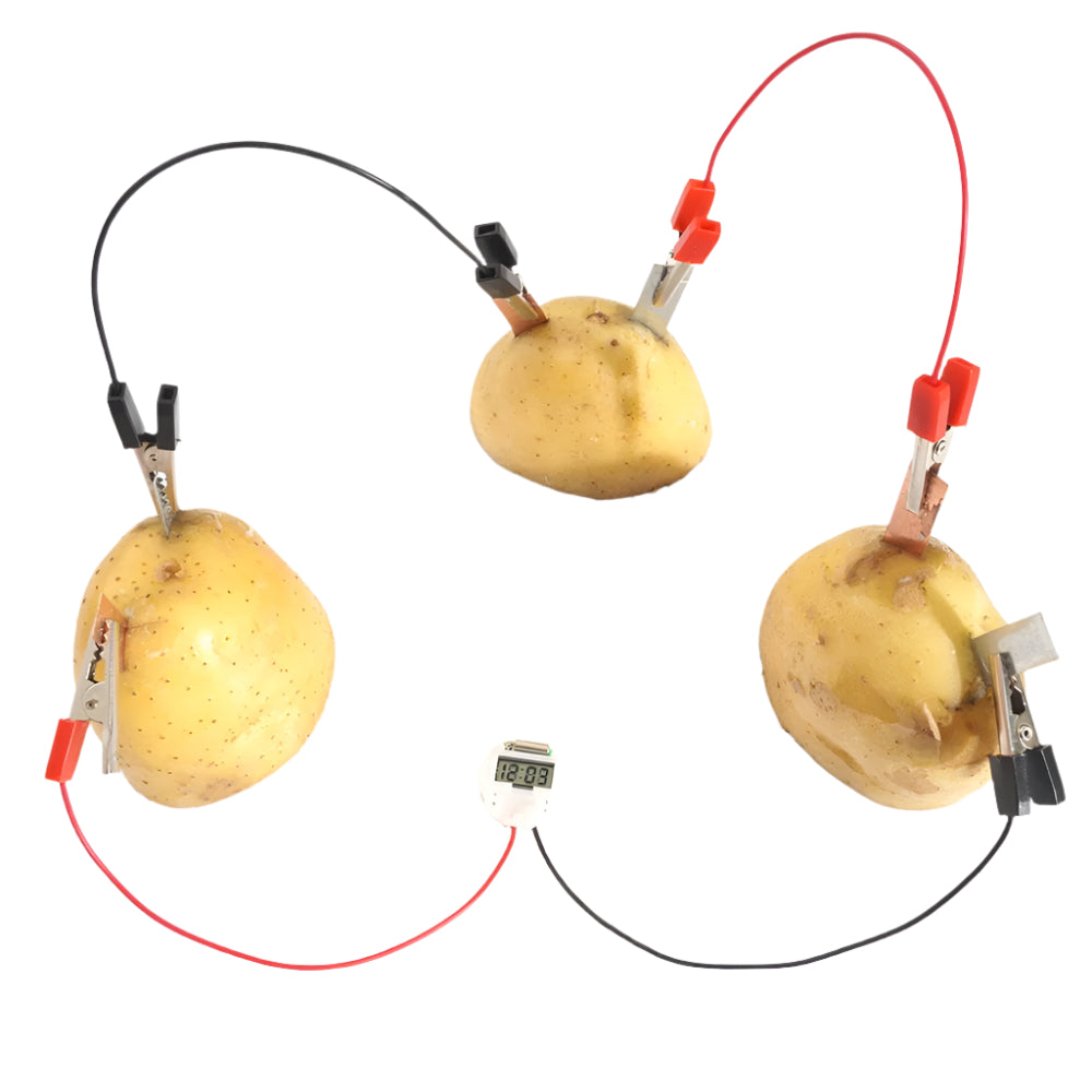 DIY Fruit Battery Science Kit | Kids Energy Learning Model